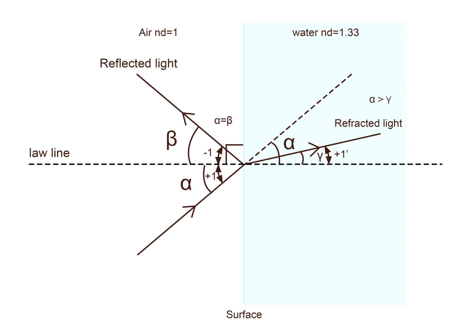 Lesson 4 – How Does Light Travel? Part II: Refraction - shanghai revamp