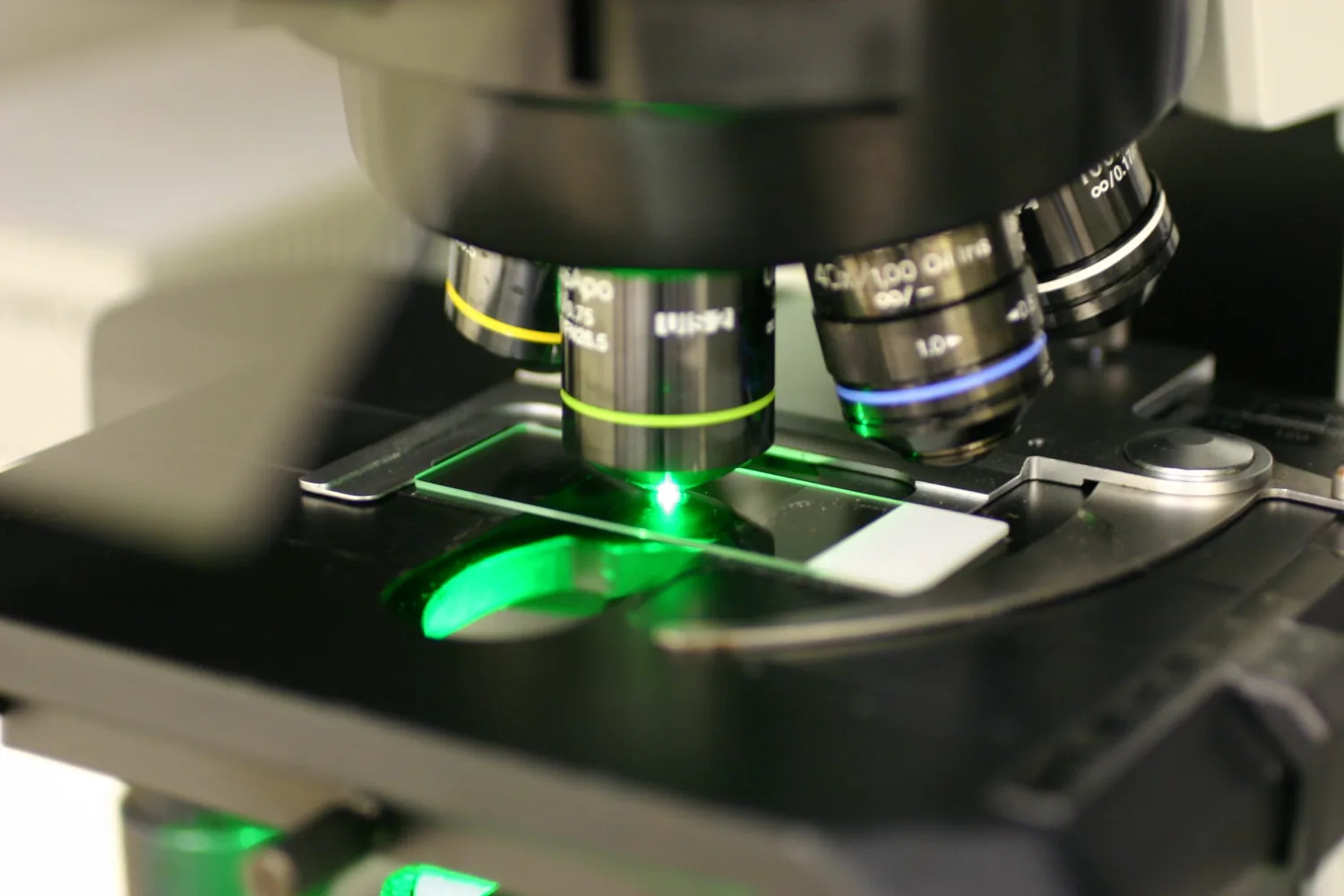 Fluorescence Microscopy: Illuminating Samples